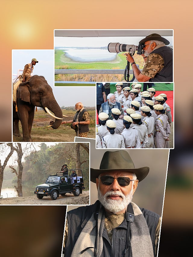 Prime Minister Modi enjoys safari in Assam's Kaziranga