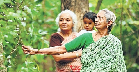 The Influenchers: Powerful women shaping India