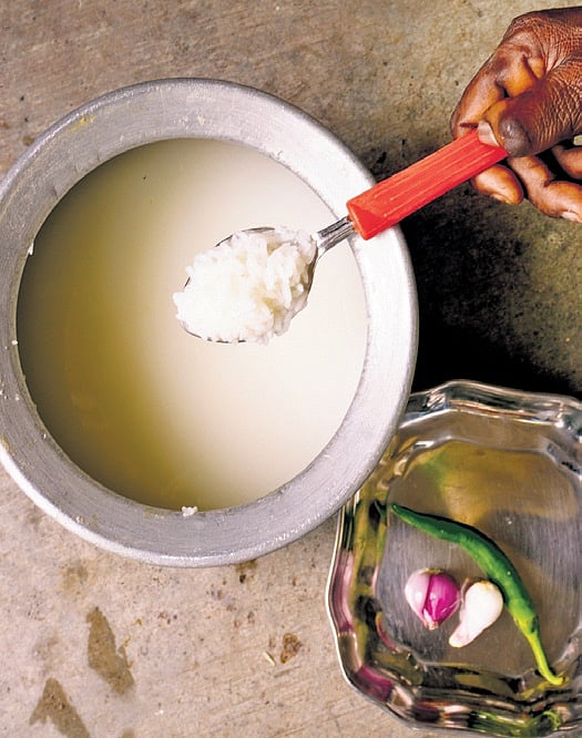 Biomolecules in fermented rice water protect colon cells against ...