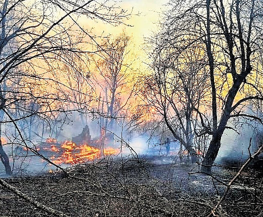 Forest fires to rise significantly in Odisha by 2030 due to climate ...