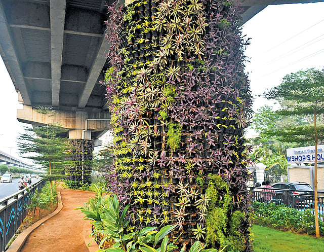 Vijayawada Municipal Corporation transforms flyover pillars into ...