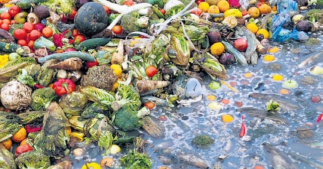 India’s per capita food waste 55kg/yr, says UN