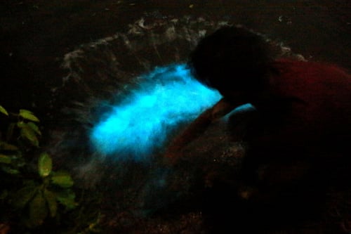 ‘Kavaru’ adds surreal glow to Kumbalangi