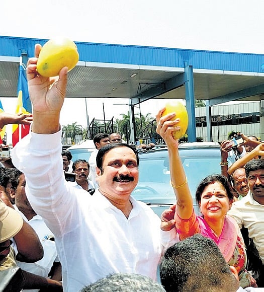 PMK leader Sowmiya Anbumani files nomination papers for Dharmapuri ...