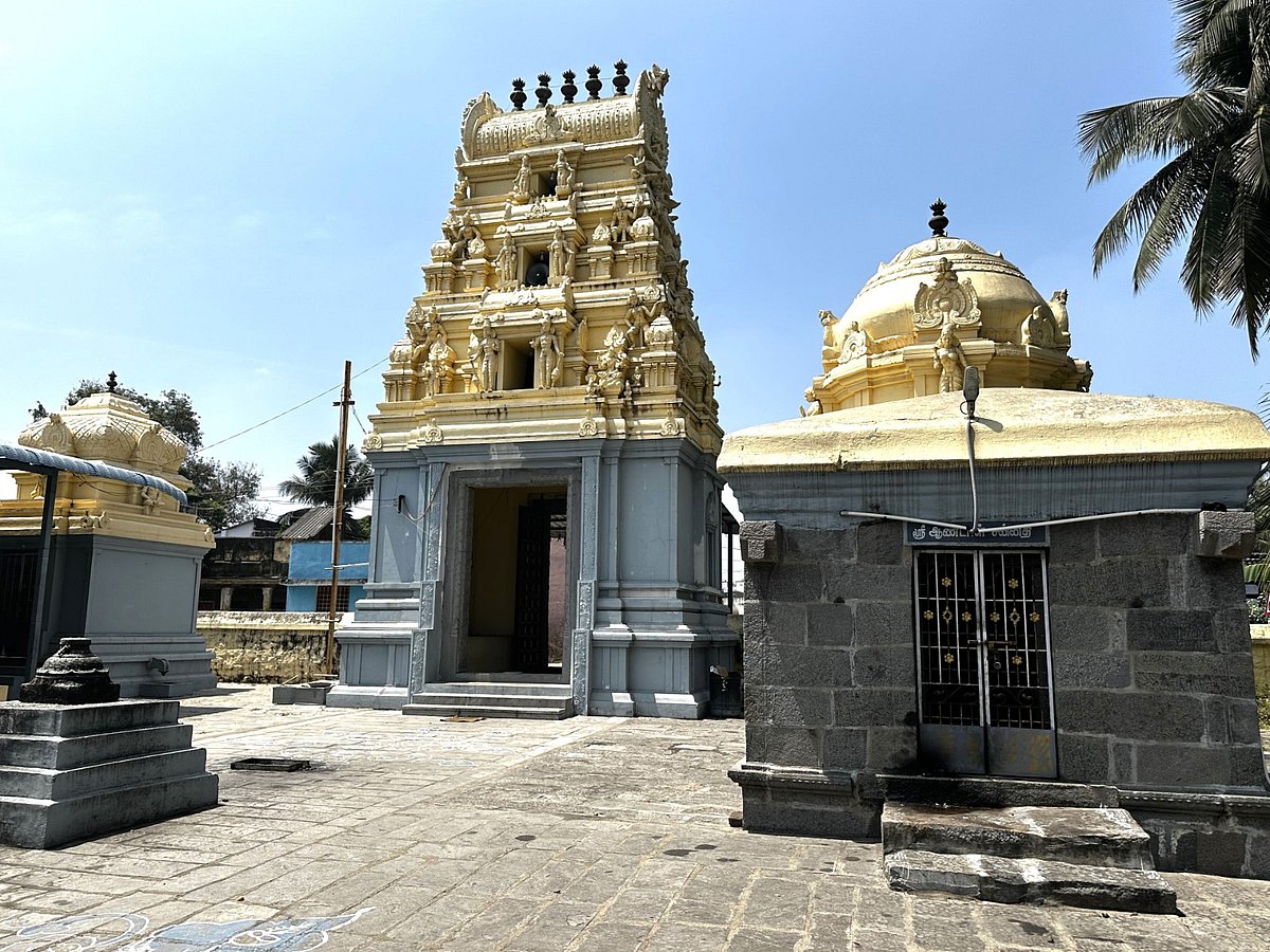 Where Vishnu is worshipped by two serpents