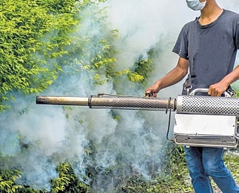 Centre extends DDT production for 5 more years to meet demand from ...