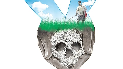 Why India will miss 2024 deadline for toxic DDT phase out