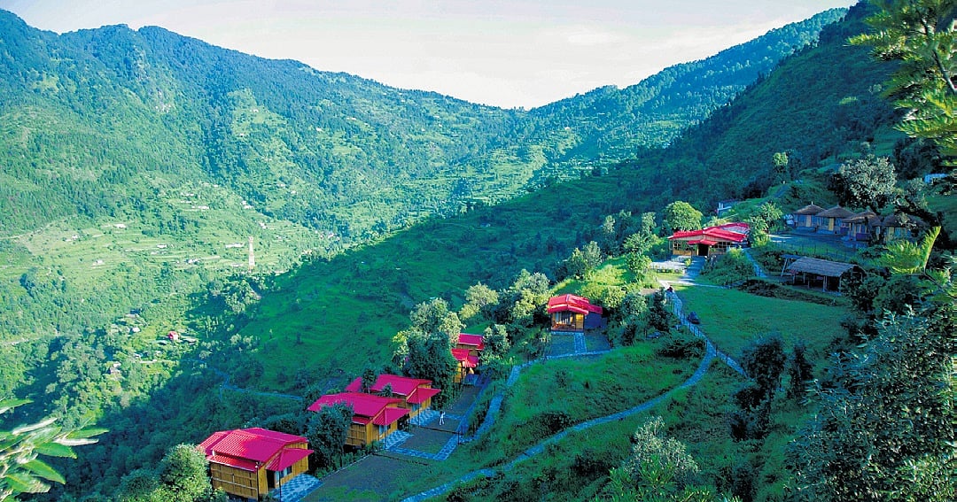 Pangot in Uttarakhand haven for birdwatchers and nature lovers