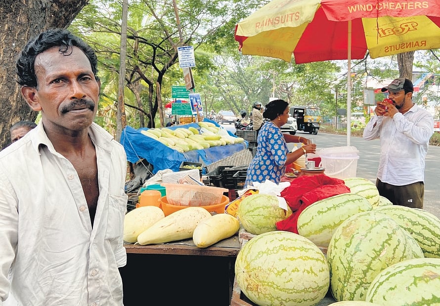 Snap melon is the new lord of summer drinks