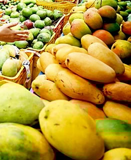 Extreme heat in Karnataka hits mango yield this year