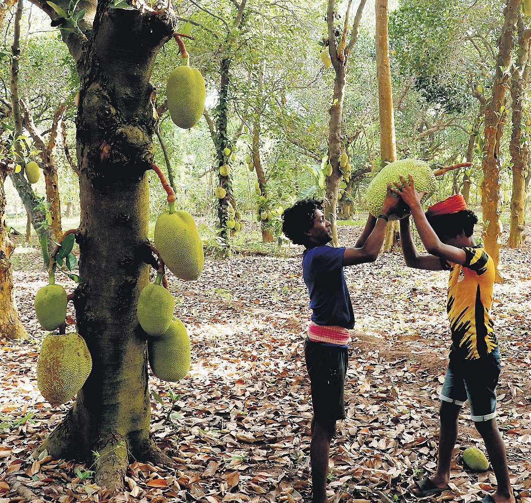 ‘Machan’ vs Bachan face off in Cuddalore