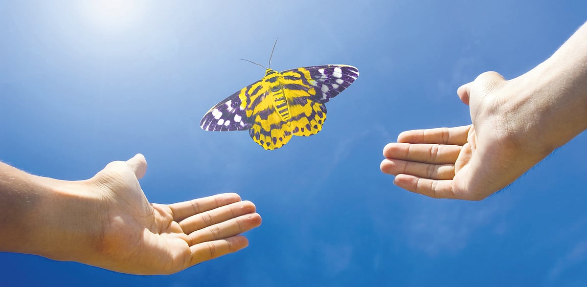 Understanding Karma: The universal law of action and its path to ...