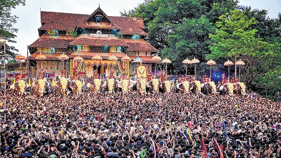 Thrissur Pooram: Kerala HC mandates 6m distance between elephants ...