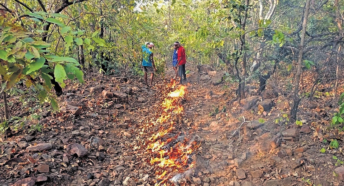 Miscreants set fire to forest in Mulugu district