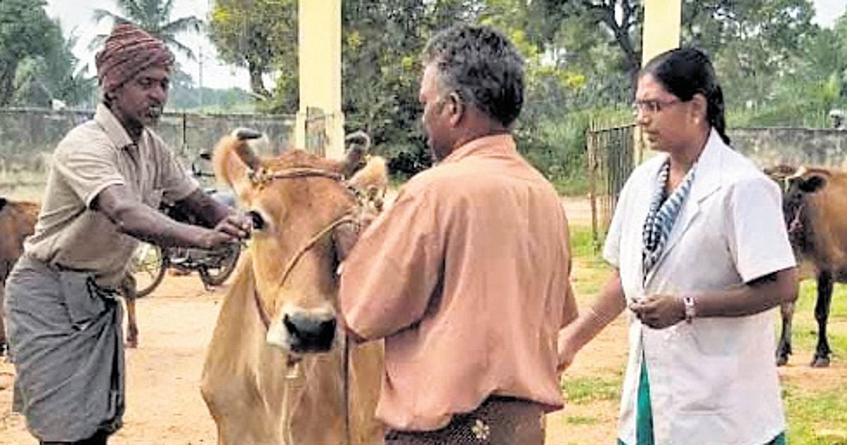 Tamil Nadu Nilgiris Lab Produces 61k Sex Sorted Semen Doses