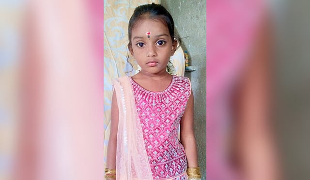 Pet dogs attack child in Chennai park; owner, two held