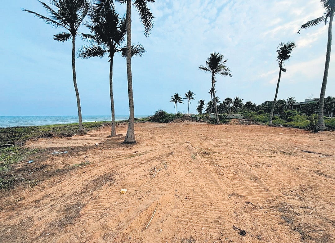 Green panel reserves order in Injambakkam sand dune case
