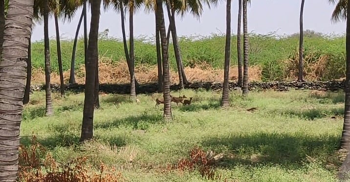 Athikadavu project’s trial run fills Avinashi ponds in TN, helps 2000 ...