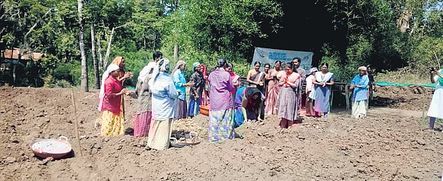 Kerala: Amid challenges, Uraali Kuruma women on mission to preserve ...
