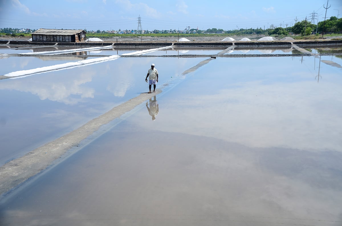 Unseasonal rain rubs salt in the wounds of salt pan workers, owners in ...