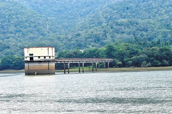 Water level in TN's Pillur dam rises by 3.5 feet after heavy rain