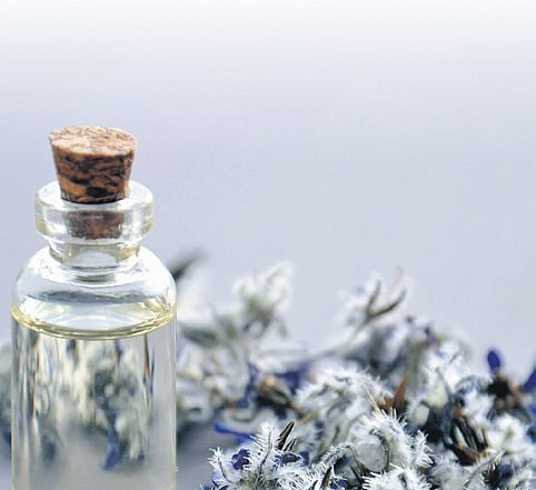 Keeping cool and fragrant in summer