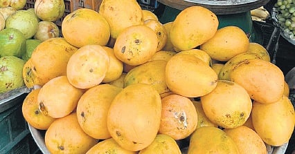 FDA launches drive against use of banned fruit-ripening agents