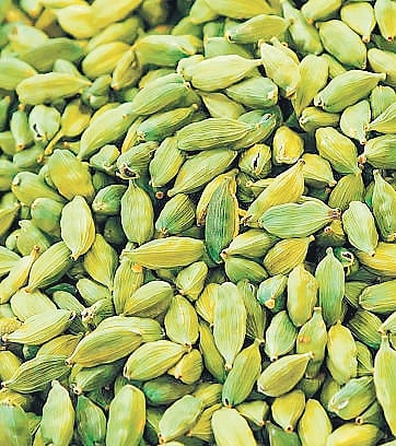 Cardamom all set to spice up aravana prasadam of Sabarimala again