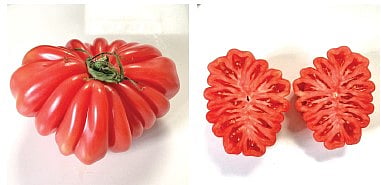 Loewe in the time of tomatoes