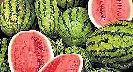Watch out for ‘unnaturally bright’ watermelons, mangoes, warn experts