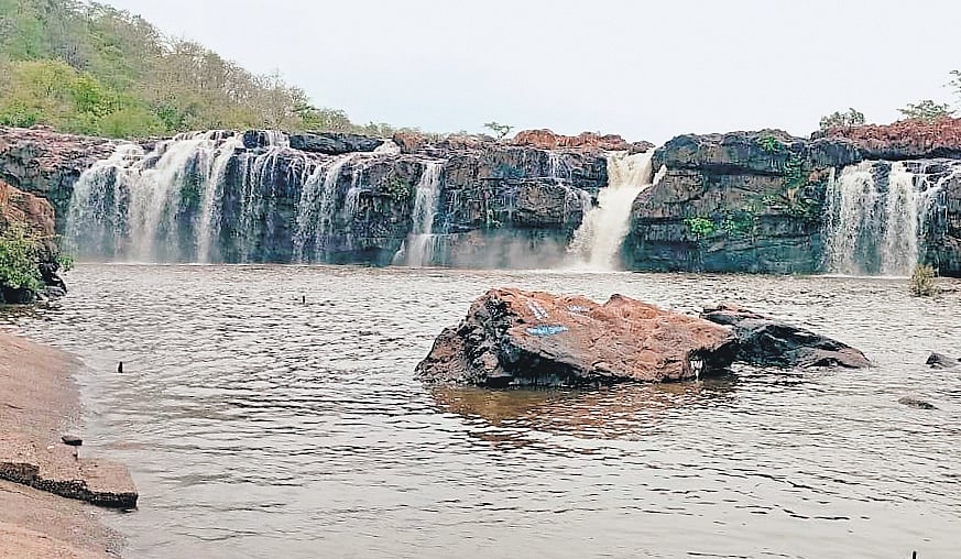 Telangana: Bogatha waterfall in full flow, opens to tourists