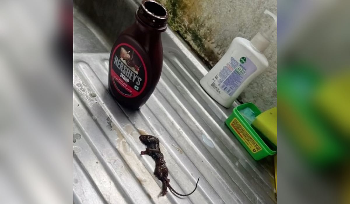 Woman finds dead mouse in Hershey's syrup bottle ordered on Zepto