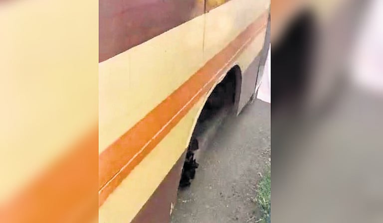Close shave for 30 after tyre of moving TNSTC bus rolls off from hub