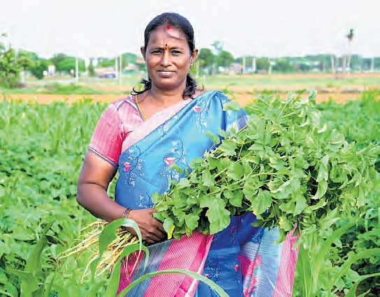 RySS APCNF programme nominated for Gulbenkian Prize for Humanity 2024