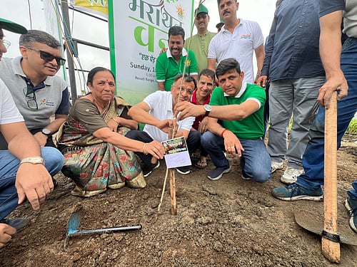 India’s cleanest city Indore sets new world record by planting 11 lakh ...