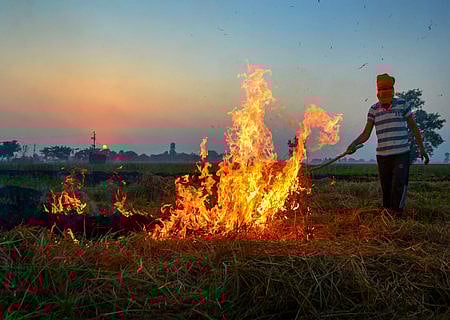 Explain steps taken to curb stubble burning: SC to CAQM