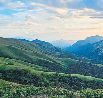 Karnataka’s forests are worth Rs 49 lakh crore