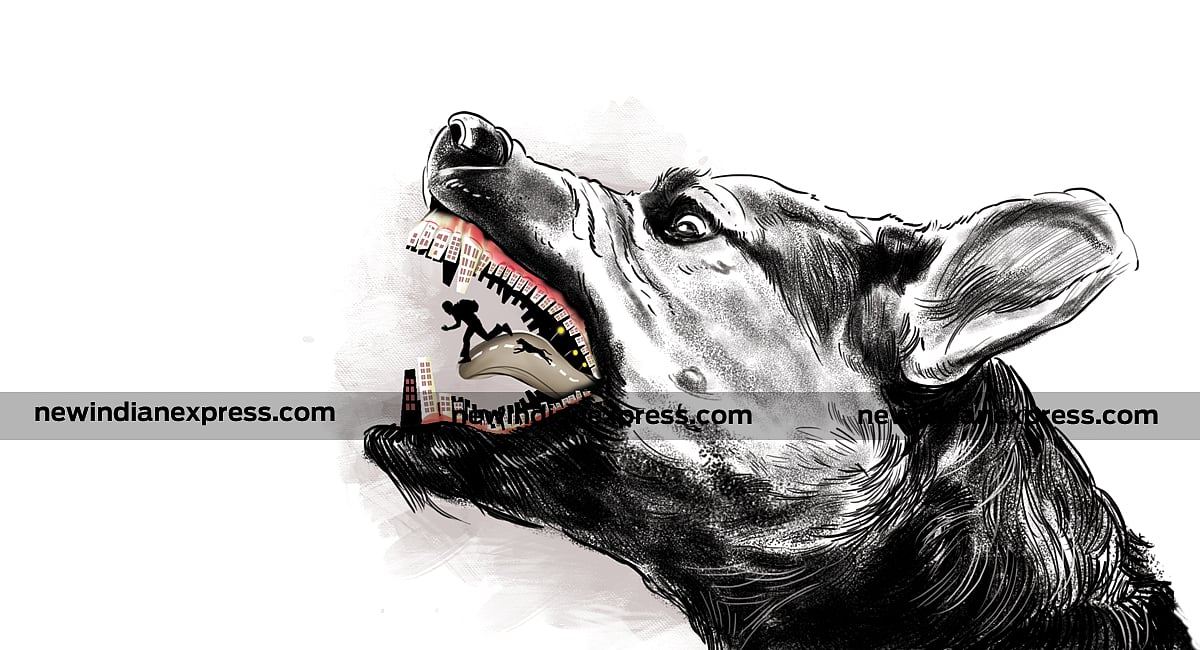 Rabies confirmed from stray dog that bit five people in ...