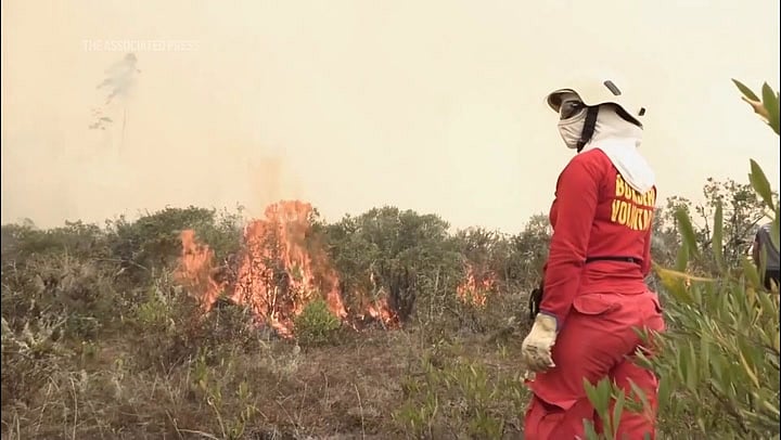 At least 15 dead and thousand hectares scorched as wildfires sweep Peru