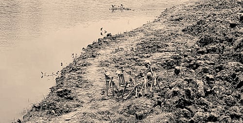 Bangladesh Liberation War 1971: The partition of Pakistan