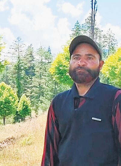 The Chinar Man of Kashmir