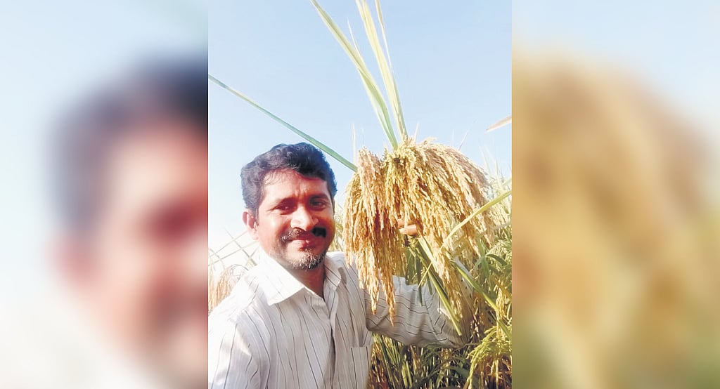 Meet the farmer who developed hundreds of new paddy varieties