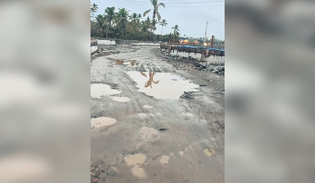Pizhala-Moolampilly bridge in Kochi awaiting approach road for past two ...