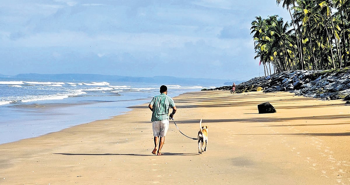 Hospitably Ethnic by the Sea