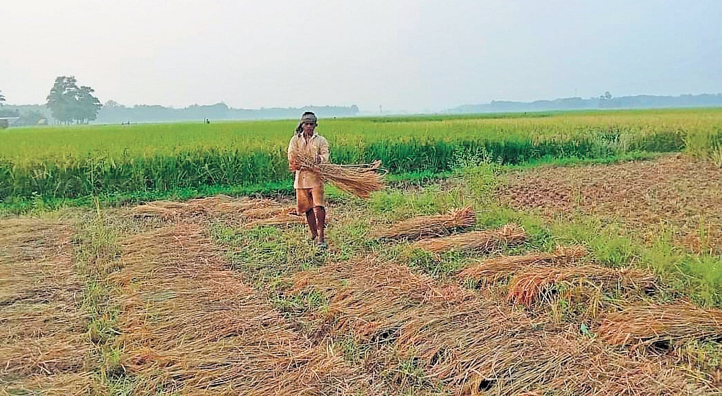 Paddy procurement process made easy in Andhra