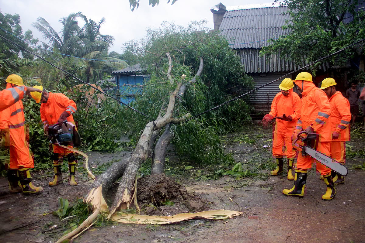 Odisha Fire Service focus on fallen trees
