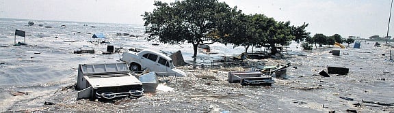 Ripples of a Tsunami