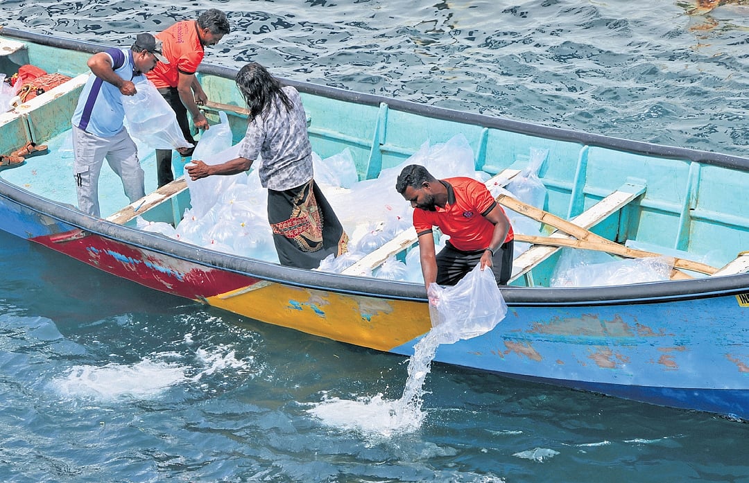Sea ranching project: 20,000 fish seeds released off Vizhinjam coast