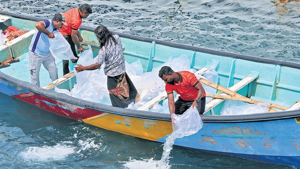 Sea ranching project: 20,000 fish seeds released off Vizhinjam coast