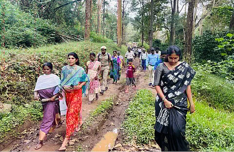 Nilgiris officials send proposal for tar road, public amenities in ...